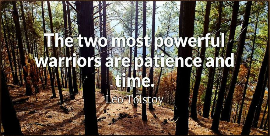 The Timeless Wisdom of Leo Tolstoy: The Power of Patience and Time -nishani