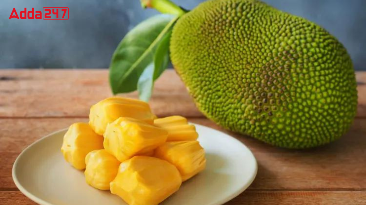 India’s Jackfruit Opportunity: How to Build a Global Business from ...